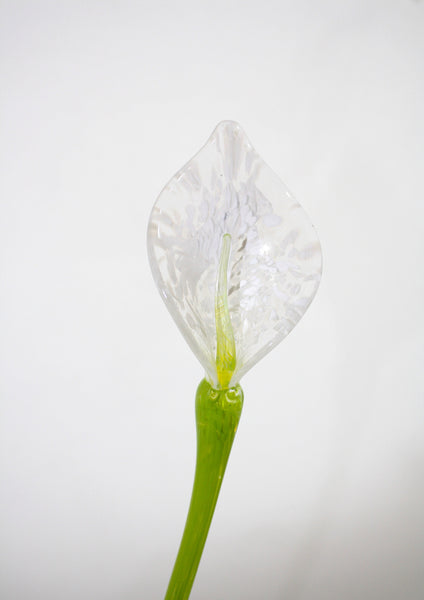 Sam Stark Glass White Anthurium Flower – LMB Art Glass